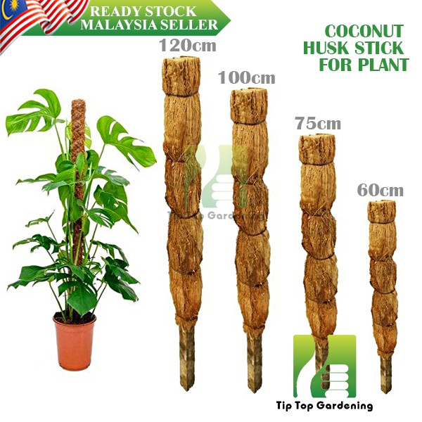 COCONUT HUSK STICK FOR PLANT SUPPORT POLE INDOOR OUTDOOR GARDENING ...