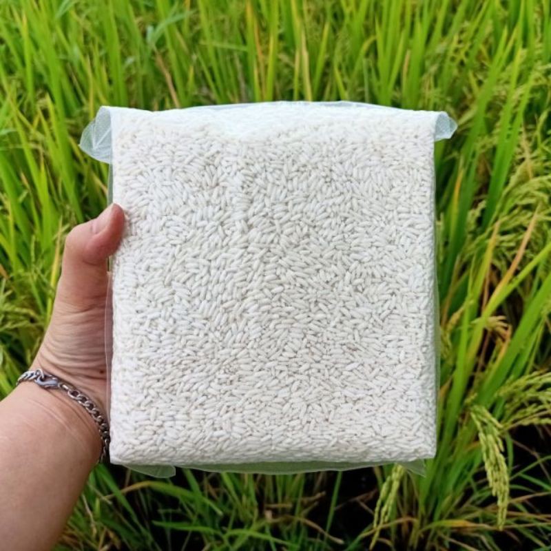 Pulut Susu Thailand Timbang Kilo 1kg | Shopee Malaysia