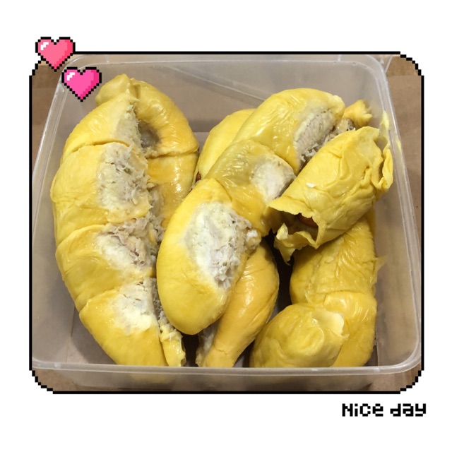 100% Fresh durian Musang King Raub Pahang | Shopee Malaysia