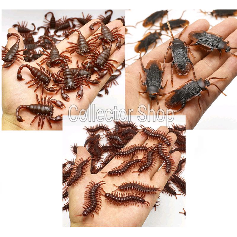 5 pcs Simulation fake Toys Rubber Scorpiu cockroach centipede Toy ...
