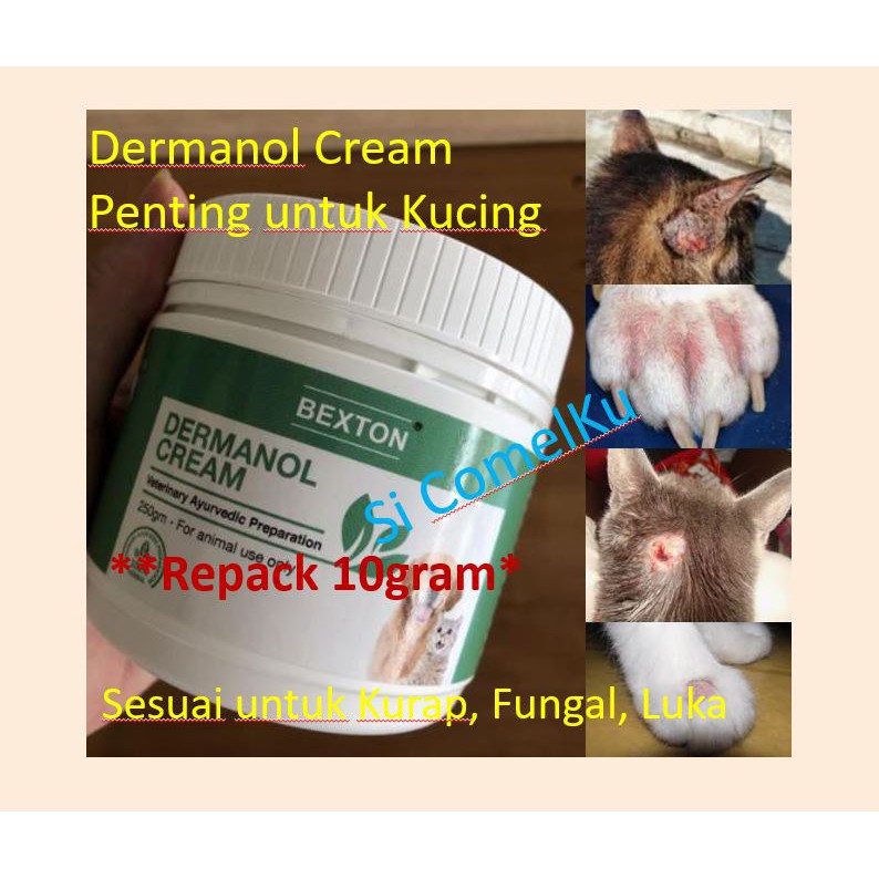 BEXTON DERMANOL Cream ANTI FUNGUS Kurap Kulit kucing *Repack* 10gram ...