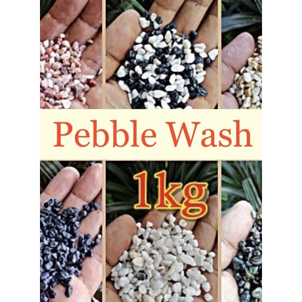 Loose Pebble, Pebble Wash Stone 1 Kg - suitable for succulent ...