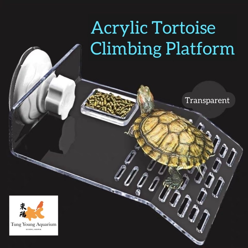 Acrylic Tortoise Turtle Climbing Basking Platform Sunbath Platform ...