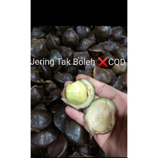 jering muda / Jering ulam / jengkol muda fresh 1kg | Shopee Malaysia