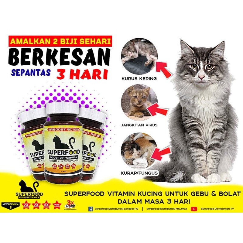 Cara Hilangkan Kurap Dengan 4 Bahan Semula Jadi Pasti Berkesan - kucing ...