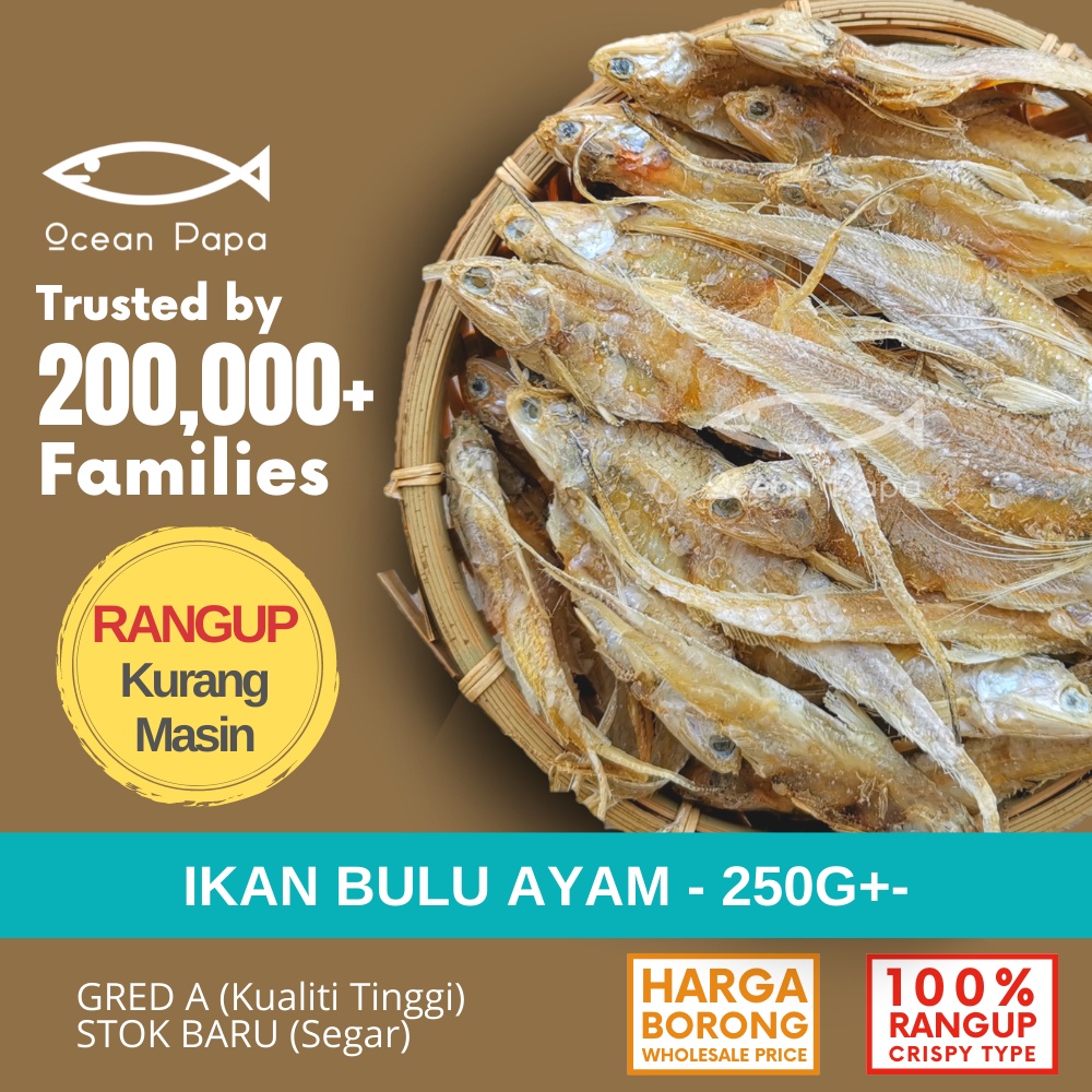 Ocean Papa Ikan Masin Bulu Ayam Gred A (250g) / Salted Fish | Shopee ...