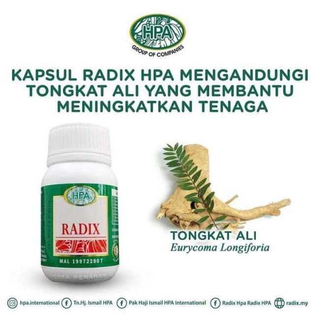 KAPSUL RADIX HPA X1 BOTOL | Shopee Malaysia