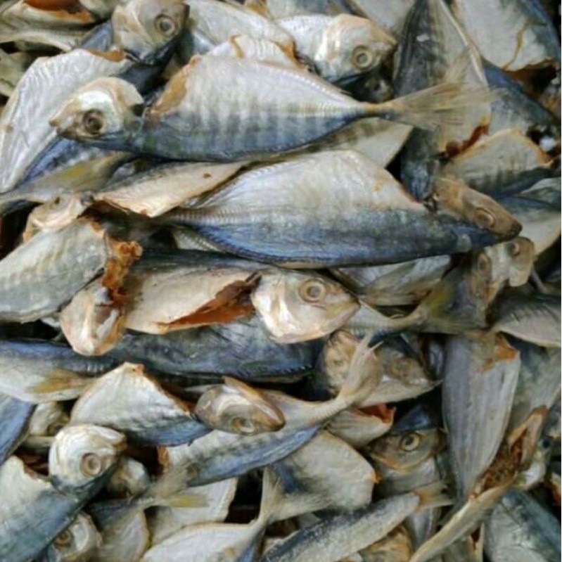 500G IKAN KERING SELAR/LECEK | Shopee Malaysia