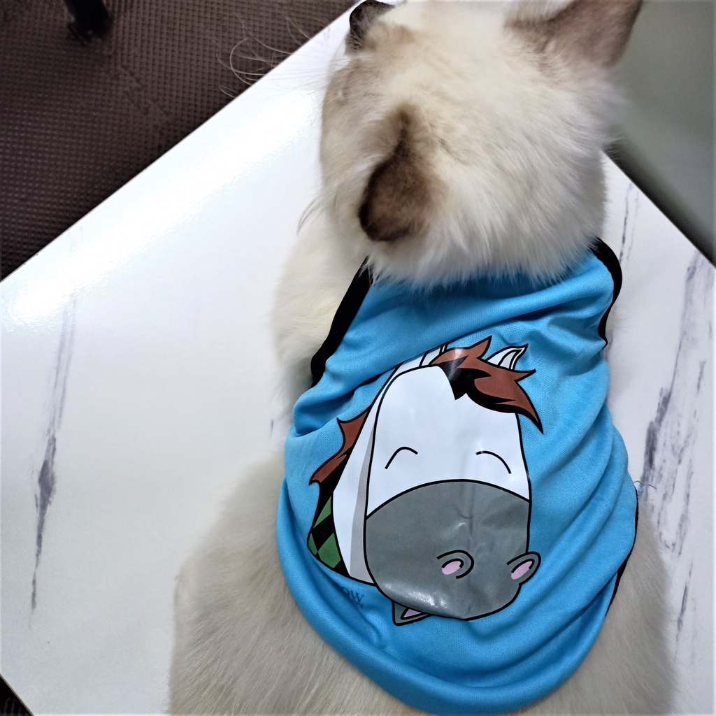 Pet Clothes Baju Anak Kucing Betina Jantan Murah Comel Pakaian Haiwan ...