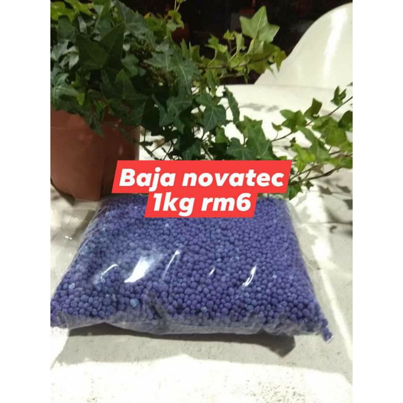 BAJA NOVATEC PREMIUM 1KG | Shopee Malaysia