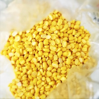 Moong Beans Split Yellow, Dall Mung Kuning, Yellow Moong Dal 500g - 1Kg ...