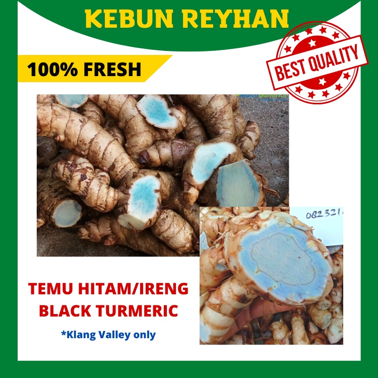 [PRE-ORDER] 100% Fresh Organic 250g Black Turmeric / Temu Hitam / Temu ...