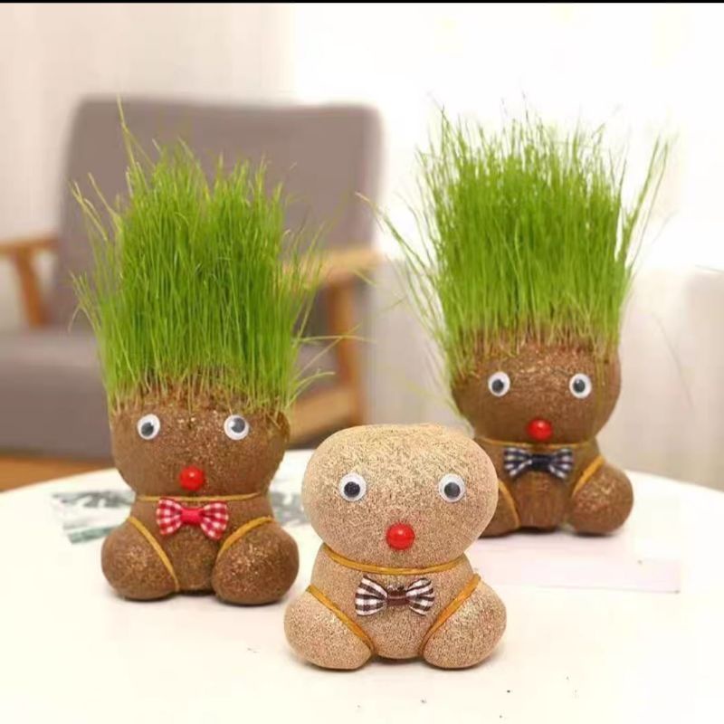 Craft Growing Grass Head Toy Planting for Children/Home/Office | Shopee ...