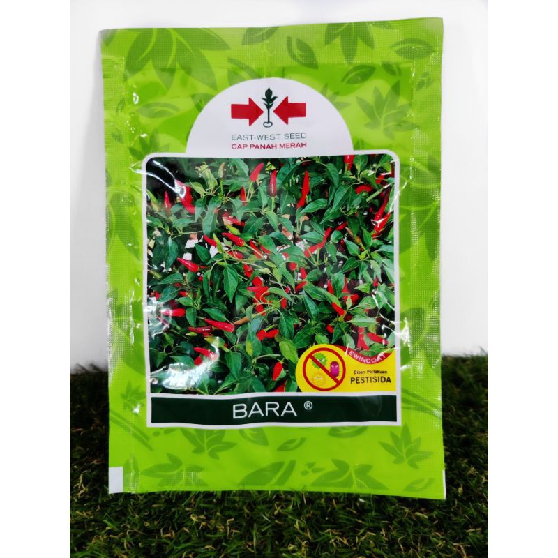 Biji Benih Cili Bara Cap Panah Merah Repack 30 Biji / Seeds 30pcs Cili ...