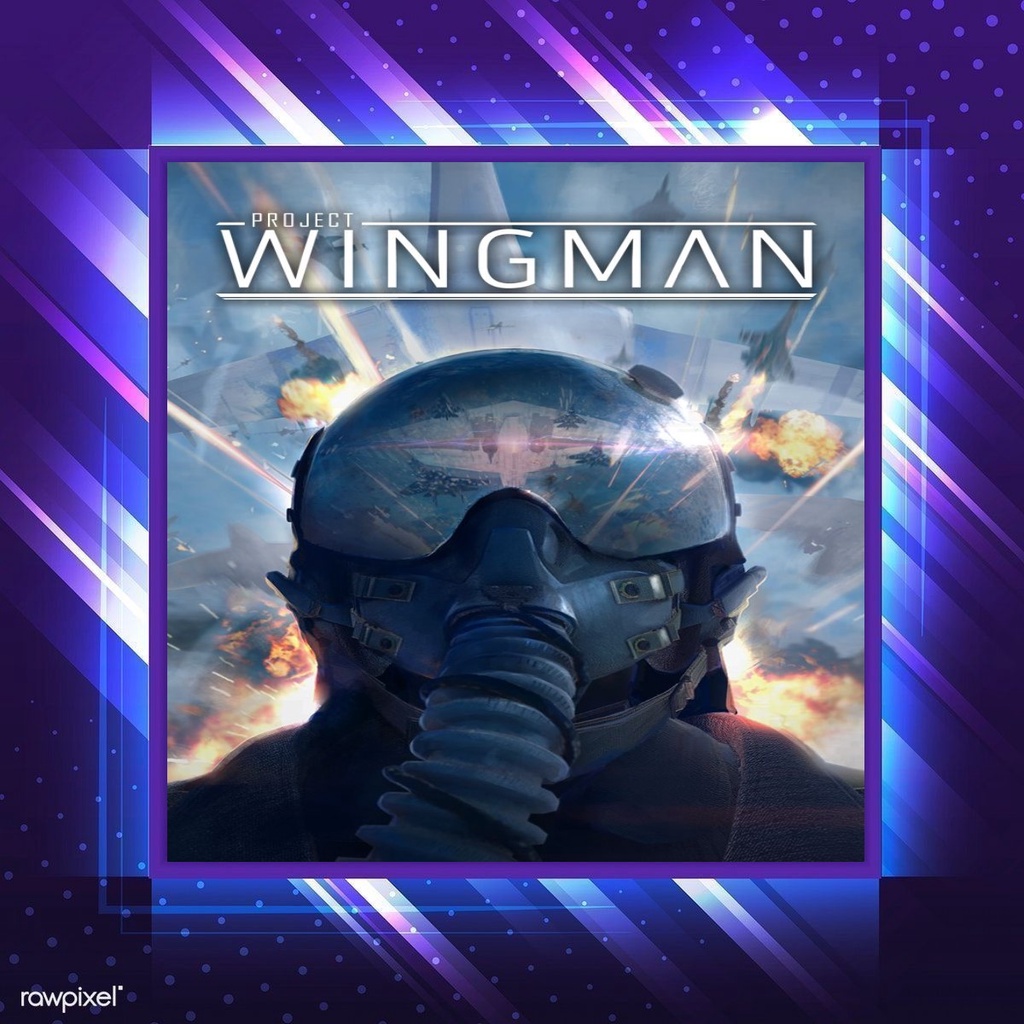 [ PC ] Project Wingman Offline PC Game ( Digital Download ) | Shopee ...