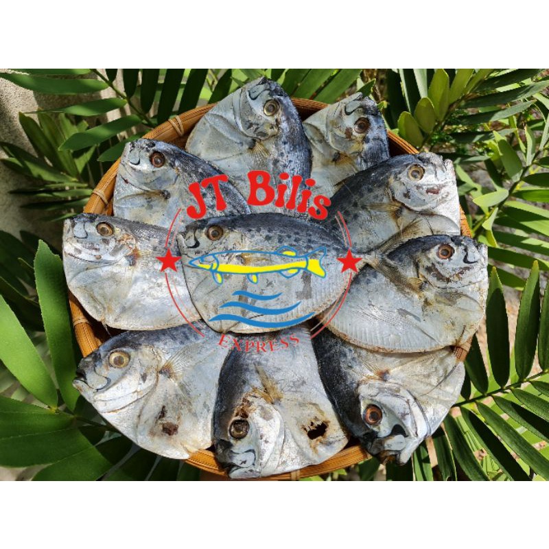 Ikan Masin Kapak 500gm+/ | Shopee Malaysia