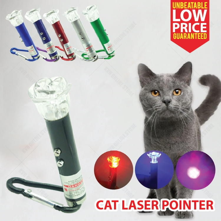 Keychain Mini Laser Pointer LED Flashlight Torchlight Cat Laser / Pen ...