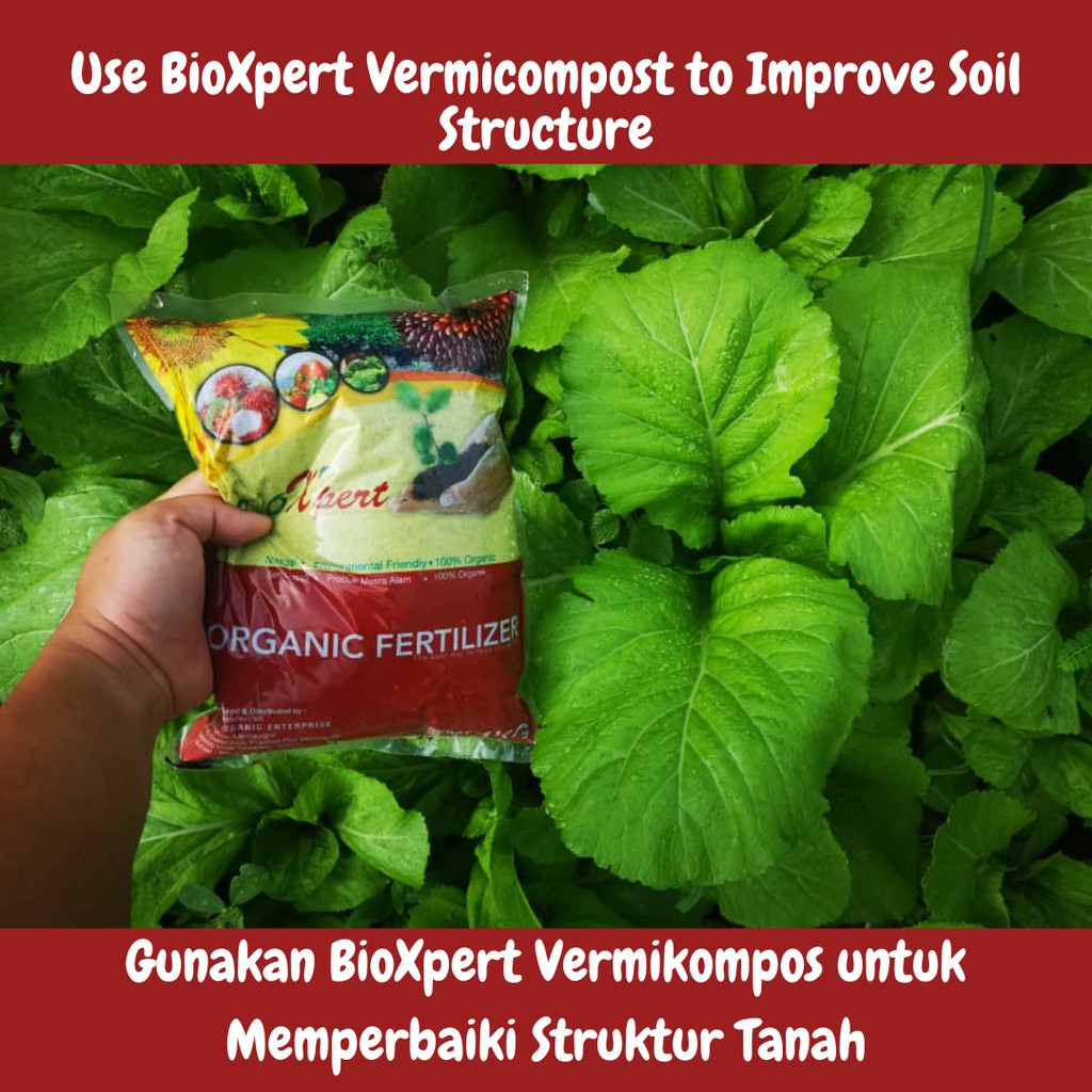 BioXpert Vermicompost Organic Fertilizer/ BioXpert Baja Organik ...
