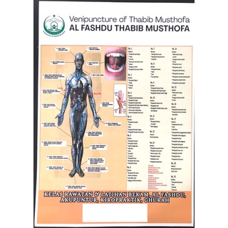 Poster Fashdu Venipuncture [ READY STOCK ] | Shopee Malaysia
