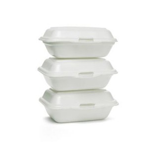 Polystyrene Lunch Box / Foam Lunch Box 100pcs/bungkus makanan | Shopee ...