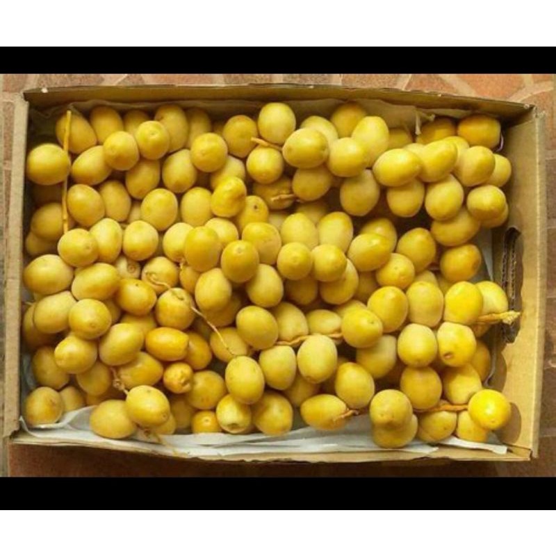 Kurma Muda Kuning Rangup Fresh | Shopee Malaysia