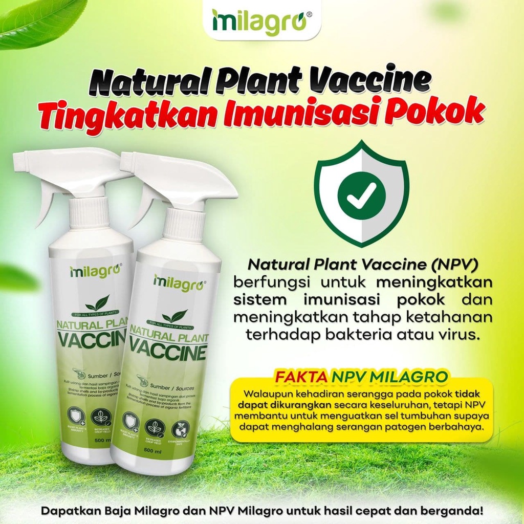 VACCINE MILAGRO * *NPV * *NATURAL PLANT VACCINE 500ml* *Spray untuk ...