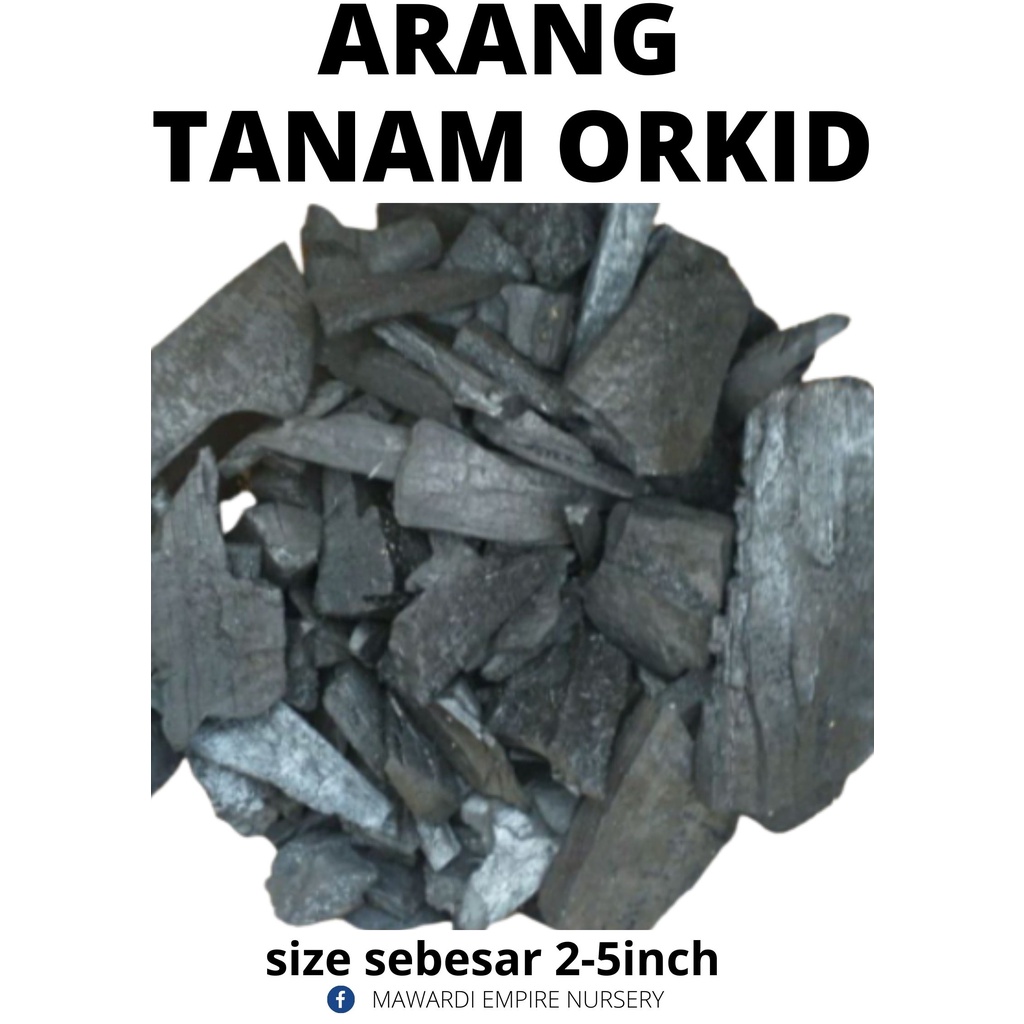 Arang untuk tanam orkid. 1kg (1.5L). size sebesar 2-5inch | Shopee Malaysia
