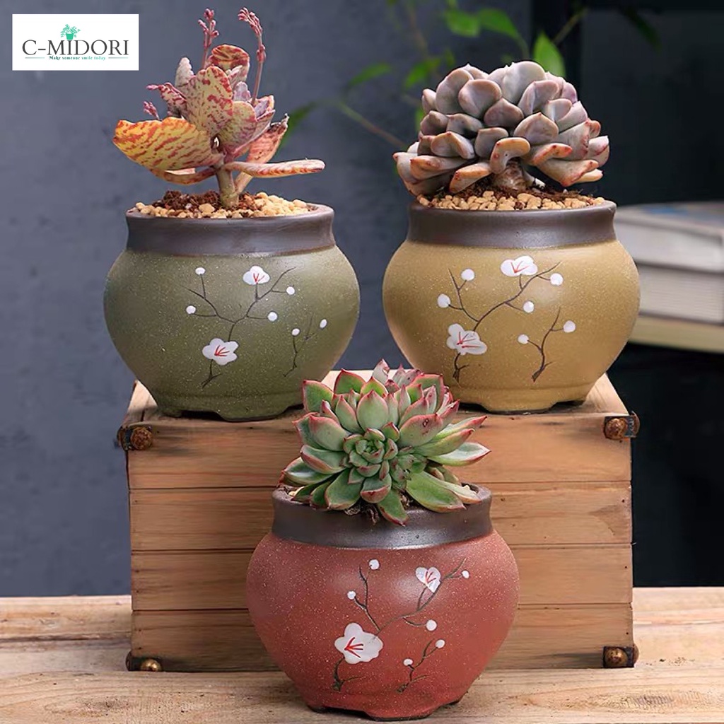 Sakura Flower Pot (READY STOCK) | Shopee Malaysia