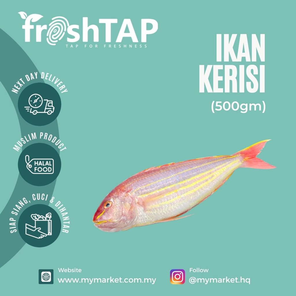 Ikan Kerisi / Threadfin Bream (500gm) | Shopee Malaysia
