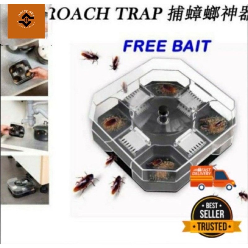 Cockroach Trap, Cockroach Box, Cockroach House, Catch Cockroach ...