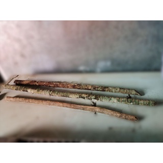 Hulu Parang Batang Palas Hutan | Shopee Malaysia