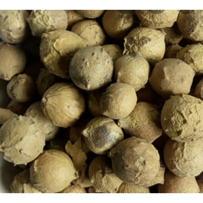 PREMIUM QUALITY Buah Manjakani Asli Gred A+ | Shopee Malaysia