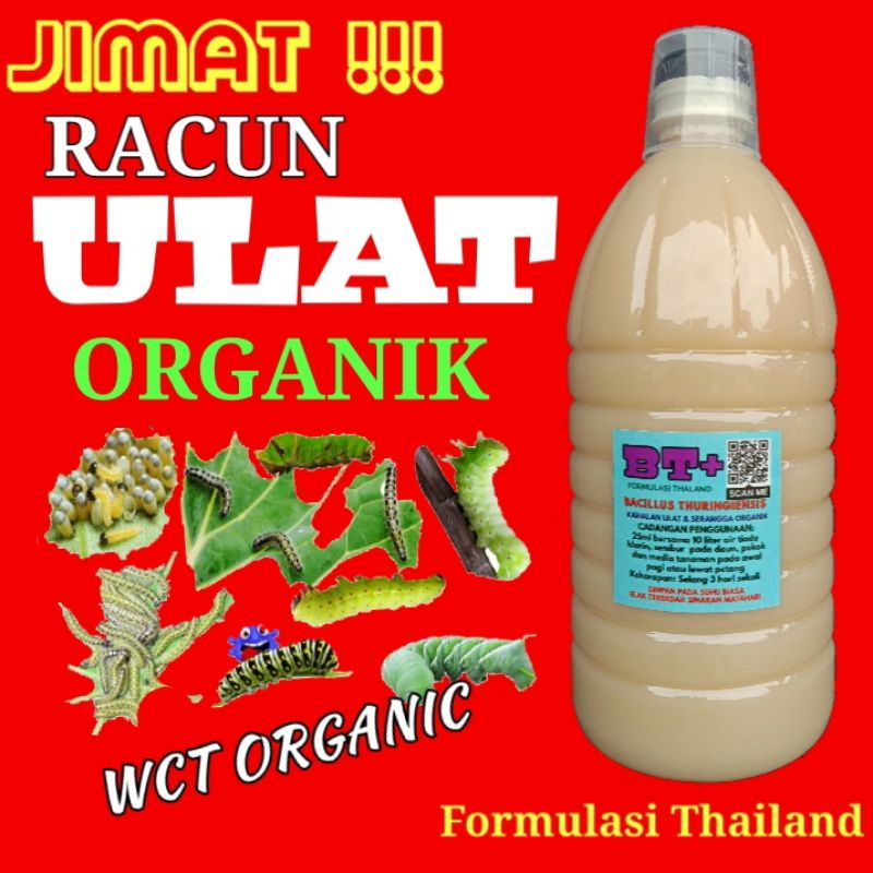 Kawalan ulat organik PATI / ULAT / SERANGGA / ORGANIC CARTERPILLAR ...