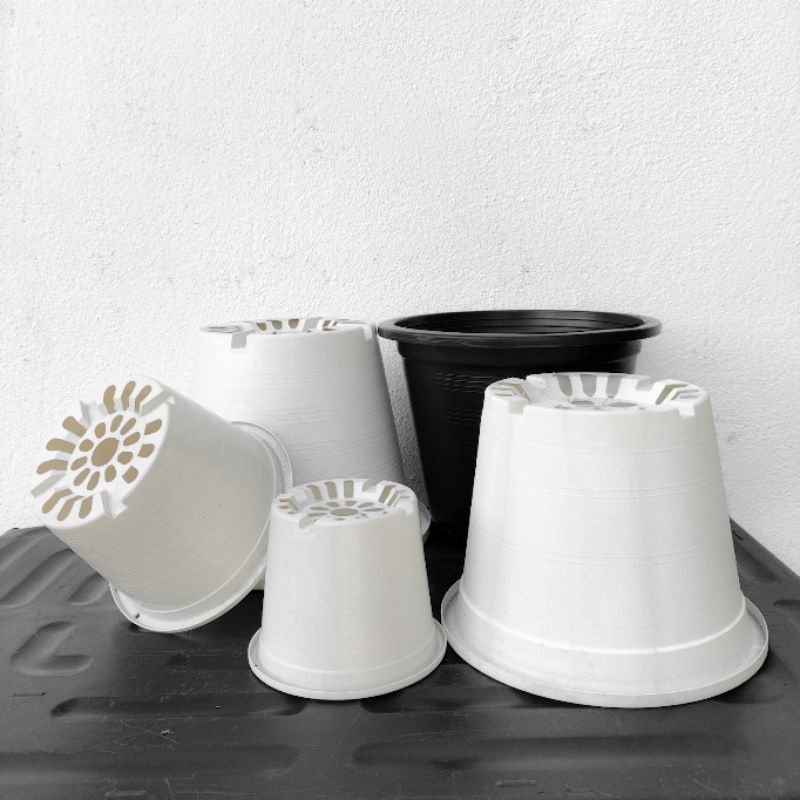 PASU SIAM (Pelbagai saiz) | Shopee Malaysia