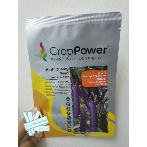 Benih Terung Panjang Crop Power Purple Treasure EG1 F1 Hybrid (REPACK ...