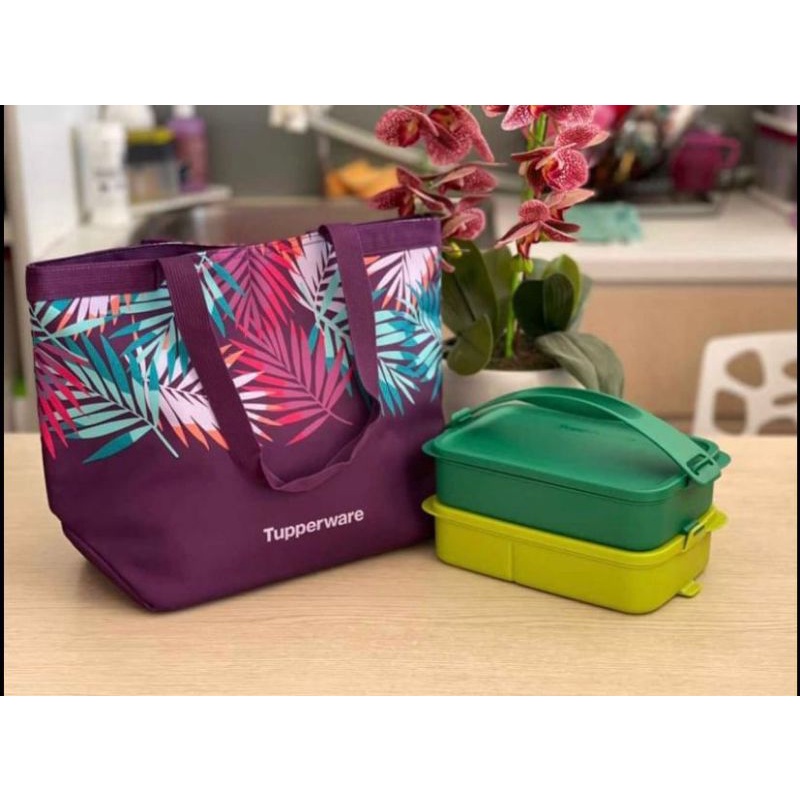 CLICK TO GO GREEN & BEG TUPPERWARE/BEKAS KEDUP UDARA/BEKAS BEKAL KE ...