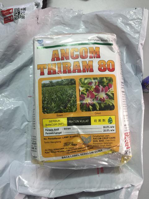 1 KG Ancom Thiram 80% Racun Kulat Fungicide | Shopee Malaysia