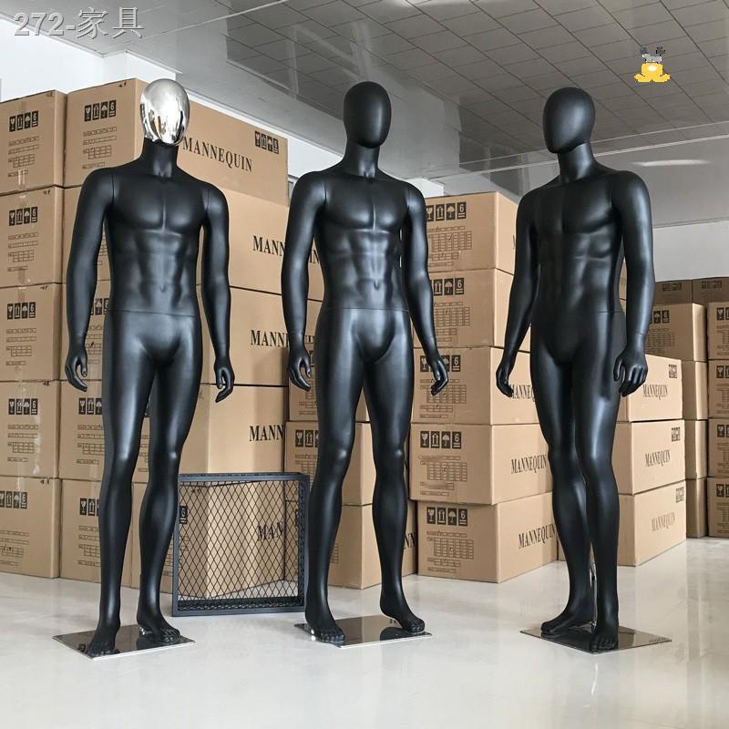 Men's full body model, plastic men's model props, human body display ...