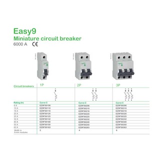 SCHNEIDER 6KA MCB EZ9F EASY9 1P 2P 3P ez9f56106 ez9f56110 ez9f56120 ...