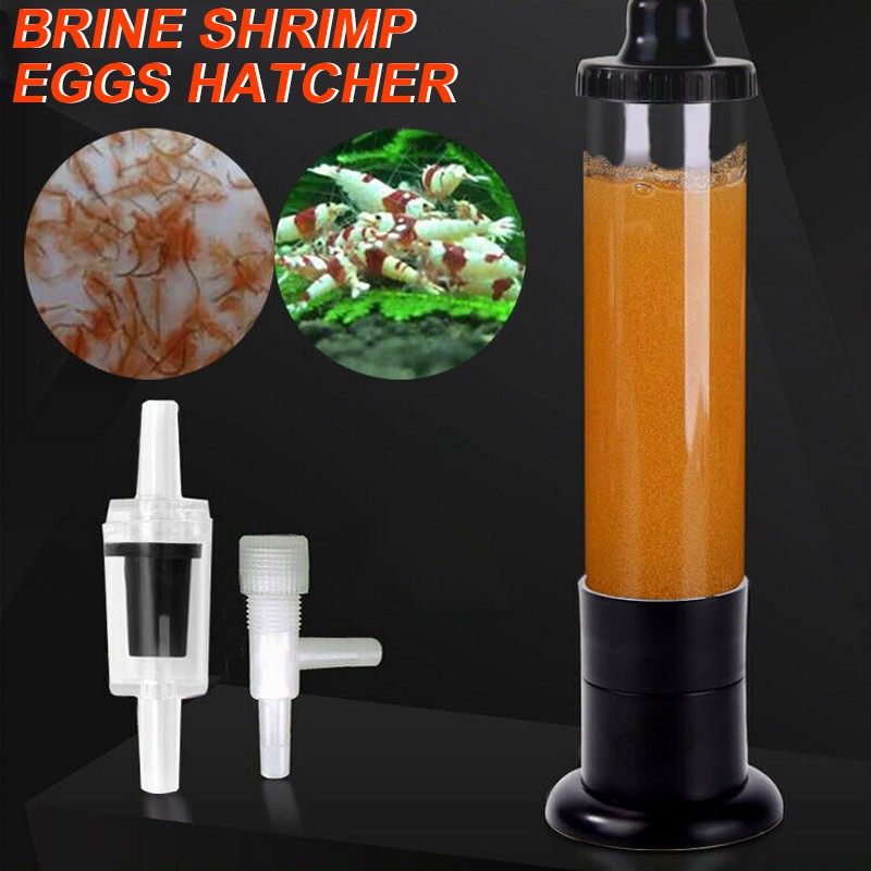 🔥Ready Stock🔥Baby Brine Shrimp Hatcher Artemia Eggs Hatchery Kit BBS ...