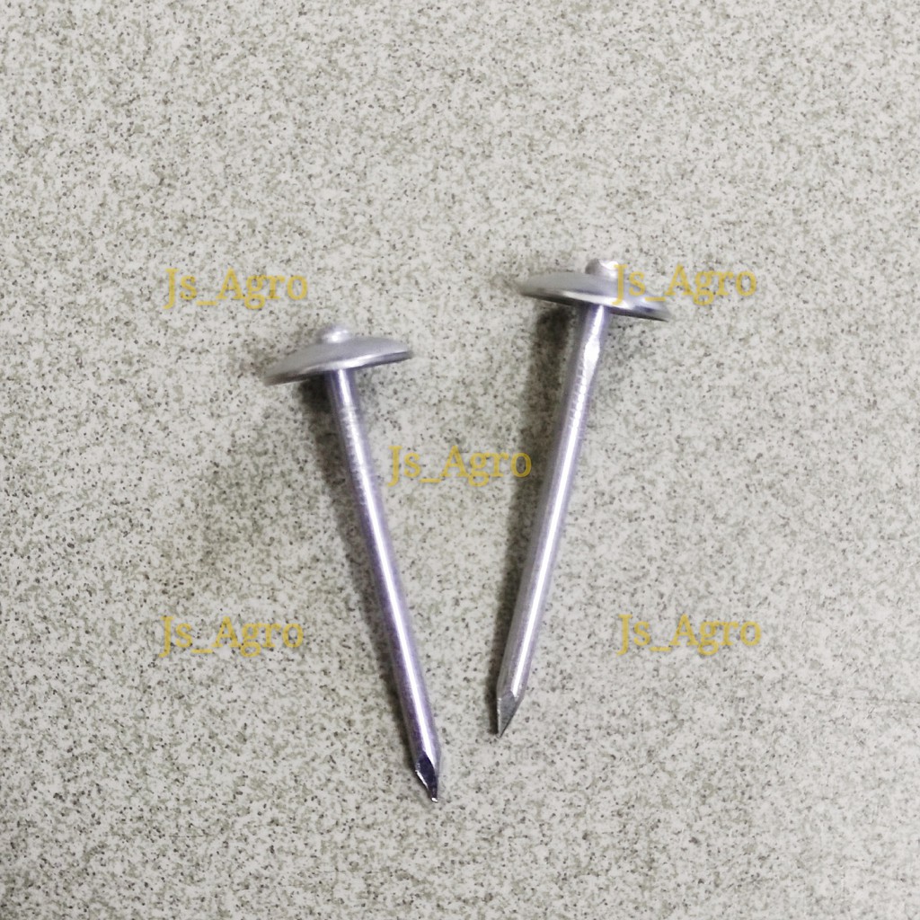 0.5kg 2“ Galvanized Roofing Nail / Paku Payung Paku Zink / 伞钉 | Shopee ...