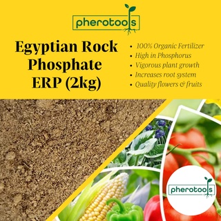 Pherotools 2KG ERP Egyptian Rock Phosphate Fosfate (Baja Akar) (Baja ...