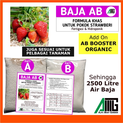 (NEW) BAJA AB Strawberi Strawberry JSC Albion etc Fertigasi Drip ...