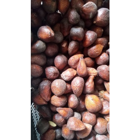 [Ready Stock] Salak Pondok Asli dari Indonesia manis dan Rangup 1Kg ...