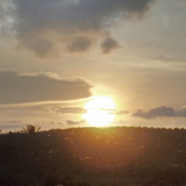 UYUII SHOP, Online Shop | Shopee Malaysia