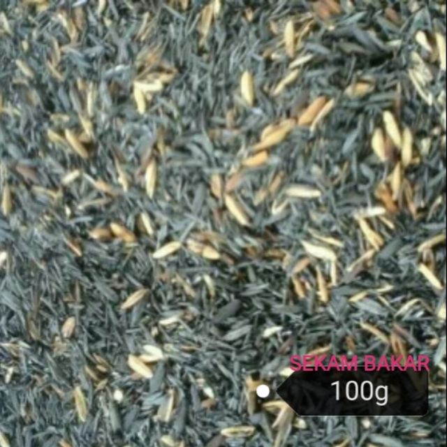 Sekam padi | sekam bakar 100g/pack | rice husk ash | media tanaman ...
