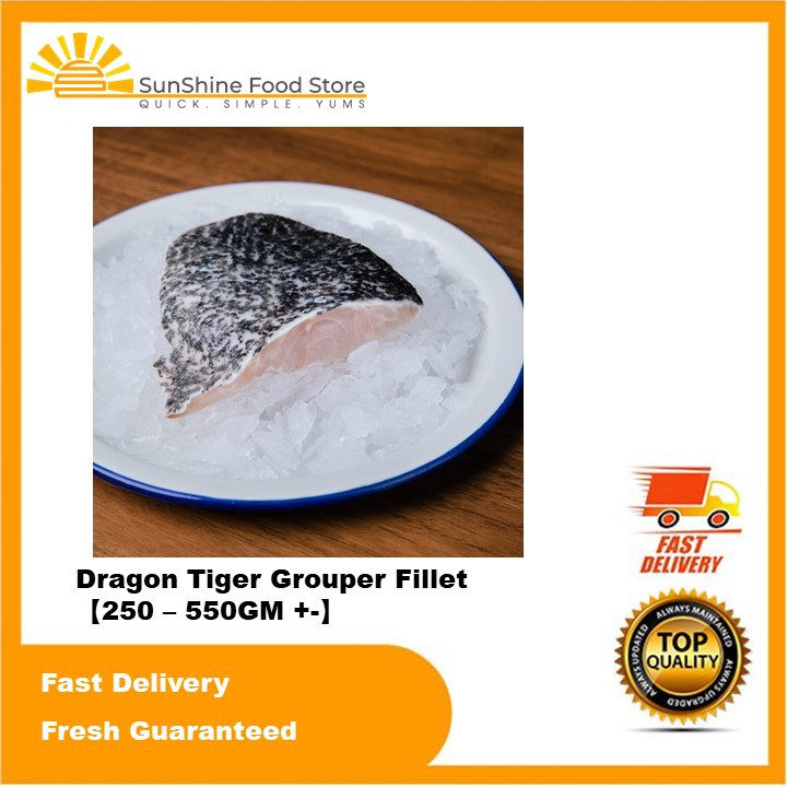 Dragon Tiger Grouper Fillet | 龙虎斑鱼片 | Kerapu 【250 - 550 GM/PCS ...