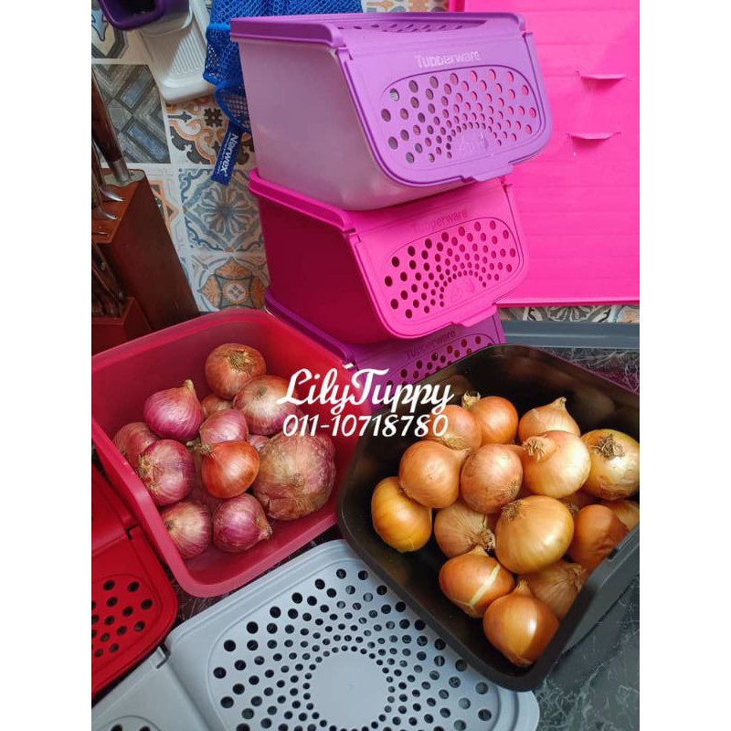 Tupperware Garlic Keeper : Bekas Bawang dan Bekas Serbaguna | Shopee ...