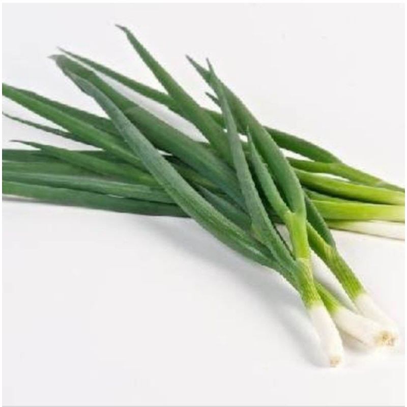 30 biji benih daun bawang / bawang perai / leek seeds / buy 2 free tahi ...