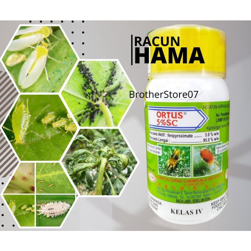 RACUN HAMA / SERANGGA PEROSAK / ORTUS 5% SC | Shopee Malaysia
